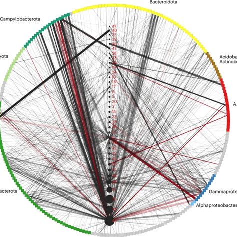 Hi C Proximity Ligation Informed In Situ Host Virus Interactions Download Scientific Diagram
