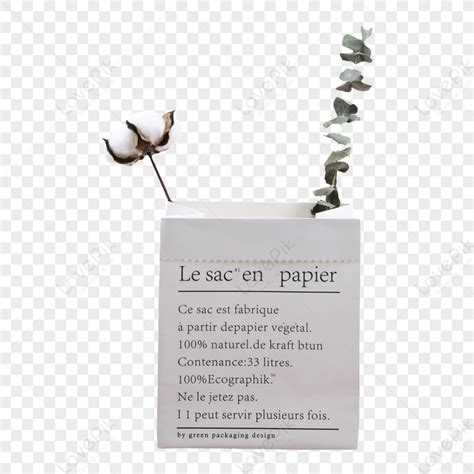 면 유칼립투스 잎 백지 가방조화광장녹색 잎 Png 일러스트 무료 다운로드 Lovepik