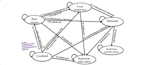 Influence Diagram Of The Markov Model For Active Surveillance Download Scientific Diagram