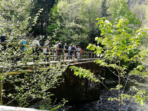 Naravoslovni Dan Reka Sedmerih Imen Osnovna šola Dr Bogomirja