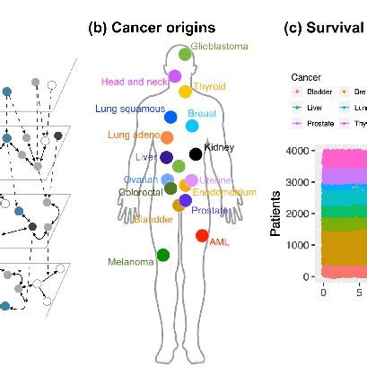 Pan Cancer Survival Data And Multi Omics Signatures A The