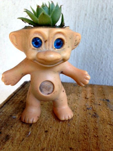 Troll Doll Succulents Garden Chick