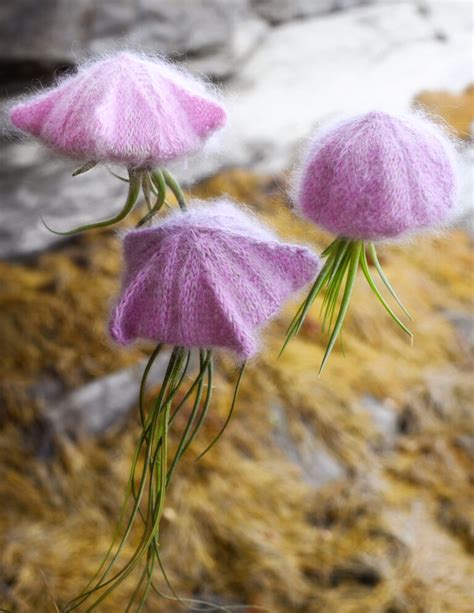 Patterns Tiny Nonsense