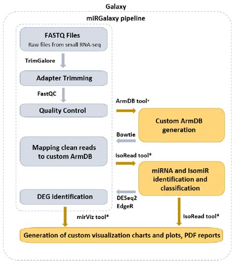Mirgalaxy Workflow Overview The Tools Marked With An Asterisk Are Download Scientific Diagram