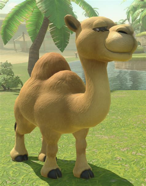 Camel Super Mario Wiki The Mario Encyclopedia