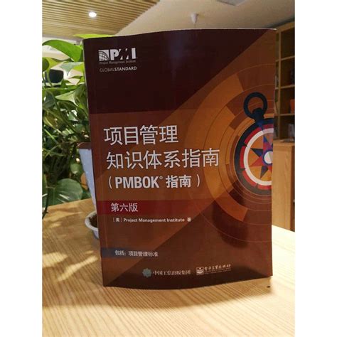 项目管理知识体系指南pmbok指南电子工业出版社美国项目管理协会project Management Institute著著虎窝淘
