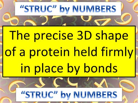 Primary Secondary Tertiary And Quaternary Structure Of Proteins Wjec