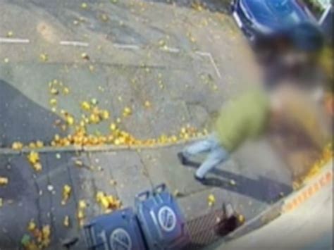 Shocking Cctv Footage Catches Man Kicking Cat Into Wall In Newport