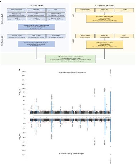 Integrative Common And Rare Variant Analyses Provide Insights Into The