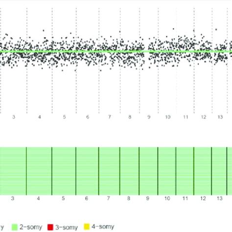 Trisomy Of Chromosome 21 Is Detected In Ds Cells A Genome Wide Copy