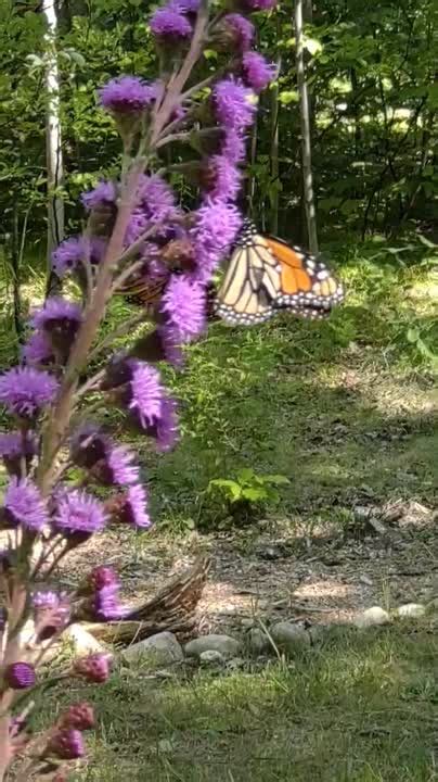 Debbie Clement 🦋 On Linkedin True Story Tuesday Long Story Alert A