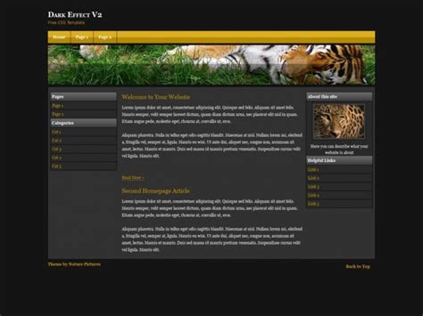 Download Free HTML CSS Template Dark Effect V2 Free HTML Templates Free CSS Templates And More