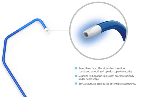 Diagnostic Catheter Angiographic Catheter Guiding Catheter Guide