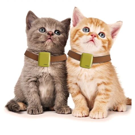 Gps Chips For Pet
