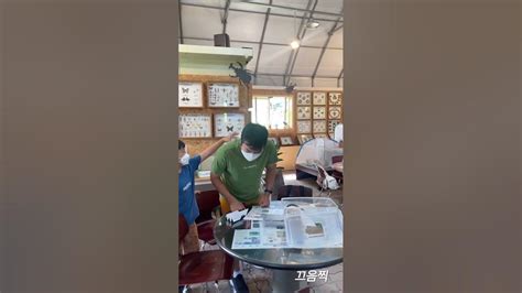 곤충체험하러갈때 풀색 옷 입으면 안되는 이유 Youtube