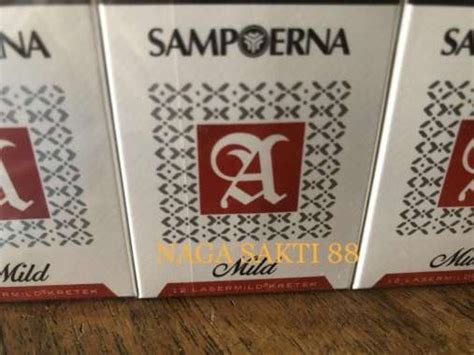 Jual Roko Sampoerna Mild 12 Termurah Harga Grosir Terupdate Hari Ini