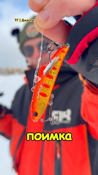 Где стоит ловить хищника? #рыбалка #щука #окунь - YouTube