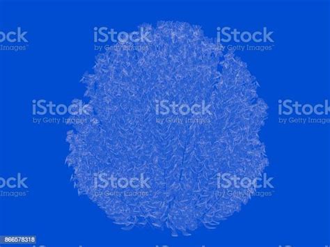 흰색 배경에 고립 된 녹색 가장자리와 개요 검은 나무의 3d 렌더링 0명에 대한 스톡 사진 및 기타 이미지 0명 계절