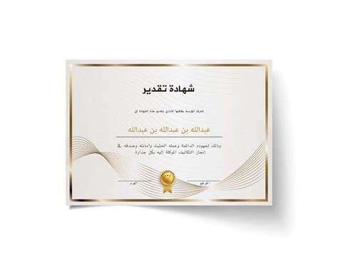 Qualification Certificate 13