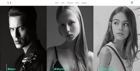 Fastest WordPress Themes Free Website Templates