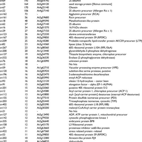 The Most Abundant Sequences From A Full Length Cdna Library Of