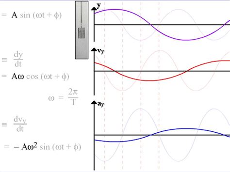NEW AQA A Level Year Principles Of SHM Simple Harmonic Motion Teaching Resources