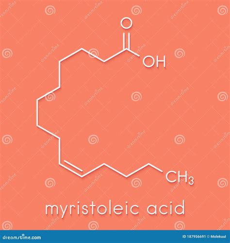 Myristoleic Acid Omega 5 Fatty Acid Molecule Skeletal Formula Stock Illustration