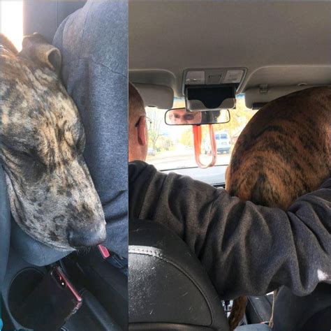 “dad Can I Sit Up Front Please” And Then Mom Gets Booted To The Back Seat Sit Up Back