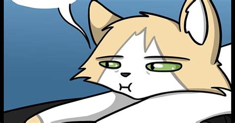 whack a cat album on imgur