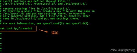 【linux网络服务】centos7安装部署dhcp 阿里云开发者社区