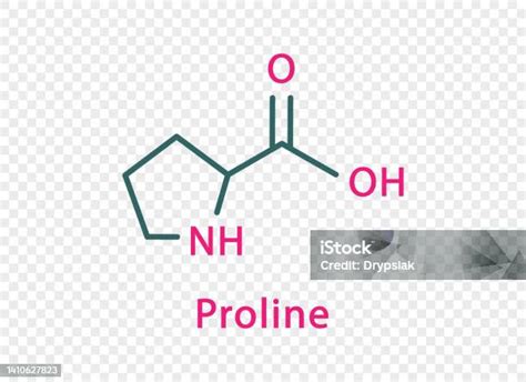 프롤린 화학식 투명한 배경에서 분리 된 프롤린 구조 화학 공식 0명에 대한 스톡 벡터 아트 및 기타 이미지 0명 2차 도형 개념 Istock