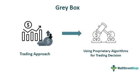 Grey Box What Is It Vs White And Black Box Examples Benefits