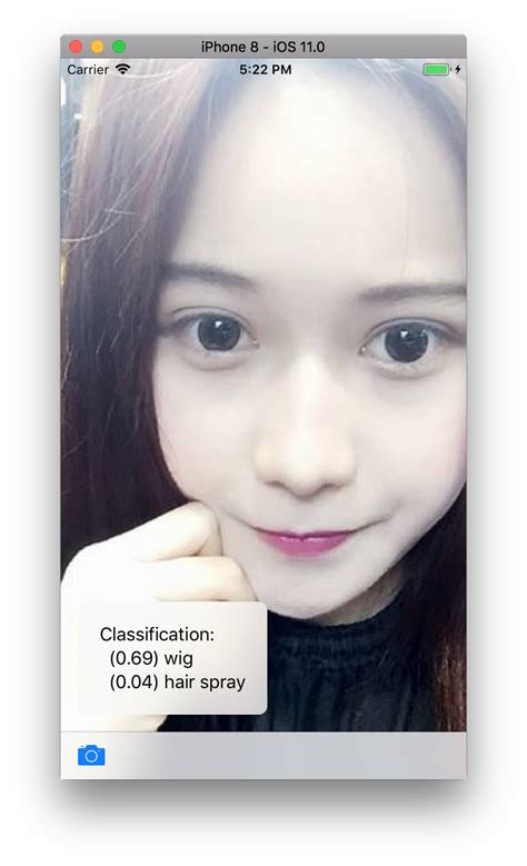 classifying images with vision and core ml