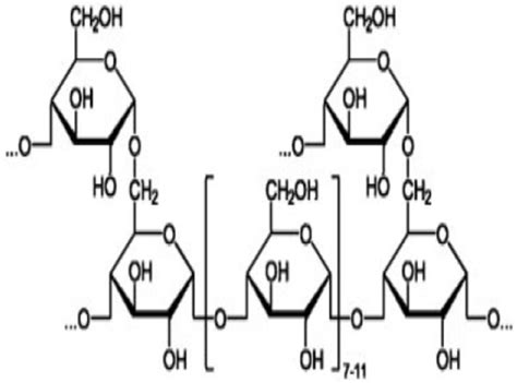 Chemical Structure Of Glycogen [50] Download Scientific Diagram