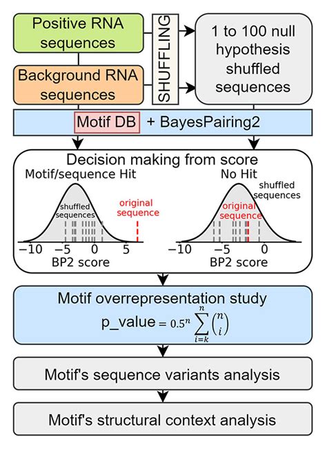 Perfumes Pipeline To Extract Rna Functional Motifs And Exposed Structures Rna Seq Blog