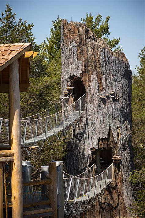 Promenons Nous Dans La Forêt Détails Darchitecture
