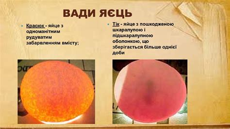 Техн Кулінарія Тема 8 Урок 84 Будова та хімічний склад яйця Види