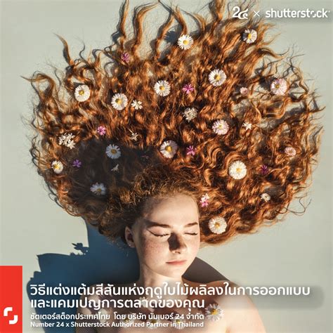 วิธีแต่งแต้มสีสันแห่งฤดูใบไม้ผลิลงในการออกแบบและแคมเปญการตลาดของคุณ🌿 🌿เปิดหน้าต่างออกไป ปล่อย