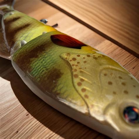 My Go To Fishing Lure Of Spawn Post Spawn Rlurebuilding