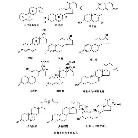 固醇類百度百科