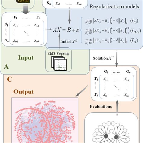 Workflow Of Gene Regulatory Network Inference With Three Regularization