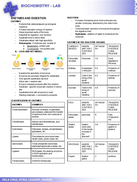 Biochem Lab Finals Transcript Pdf