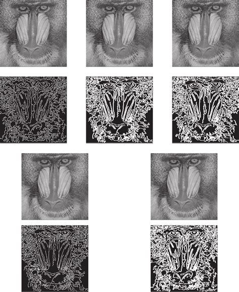 Stego Image Results And Its Edge Area From The Proposed Method And Download Scientific Diagram