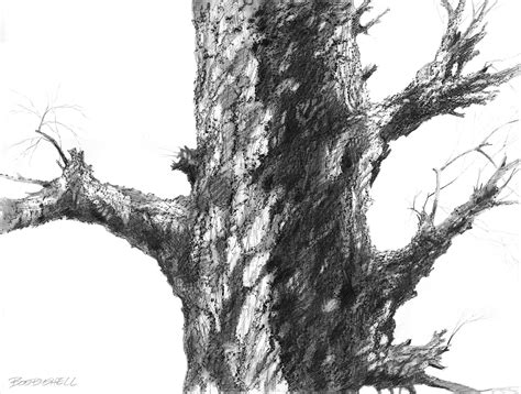 Tree Series Click To See All Images On Behance