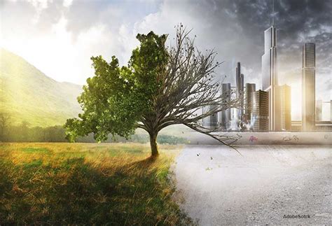 What Is Being Done To Stop The Deterioration Of The Environment SGK