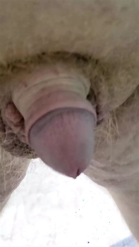 胖乎乎的家伙暴露他的小鸡巴撒尿 Xhamster