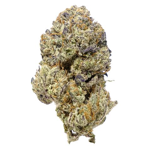 Buy Pistol And Paris Notorious Stok D Cannabis