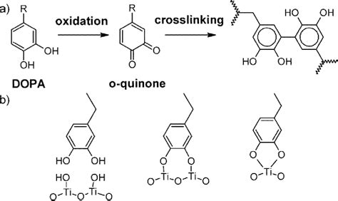 Figure 1 From Self Assembly And Adhesion Of Dopa Modified Methacrylic