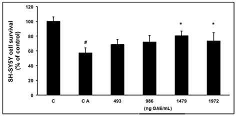 Protective Effect Of Wp Against 6 Ohda Cytotoxicity In Sh Sy5y Cells