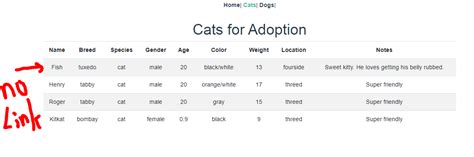 Vue Js Vue Router Link Doesn T Work Within B Table Stack Overflow